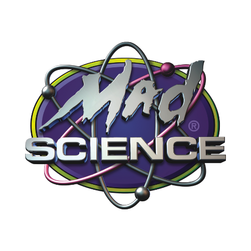 IRL Science Festival – Making Science FUN for Everyone!