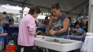 IRL Science Festival – Making Science FUN for Everyone!